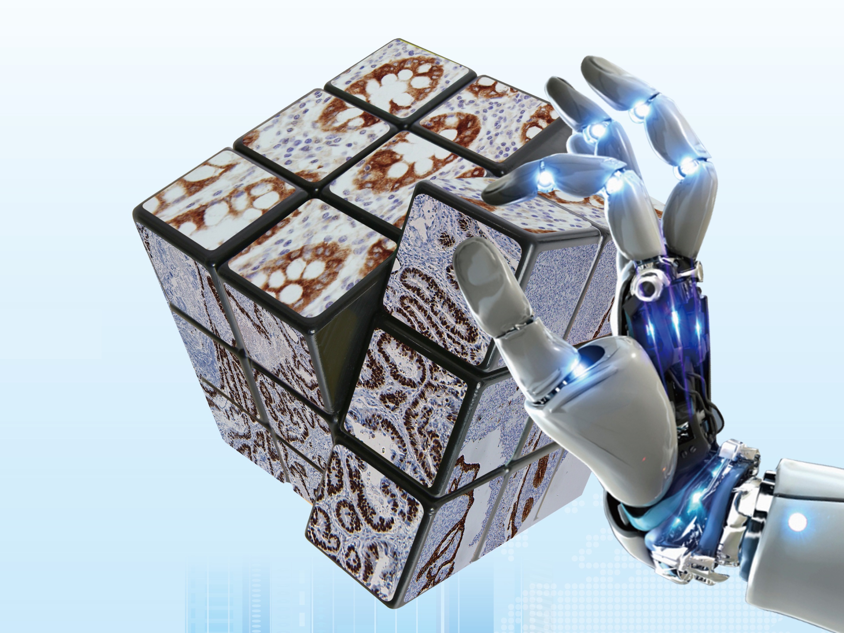 BG8 鼠抗人 BG8,Lewisy 抗体试剂（免疫组织化学法）